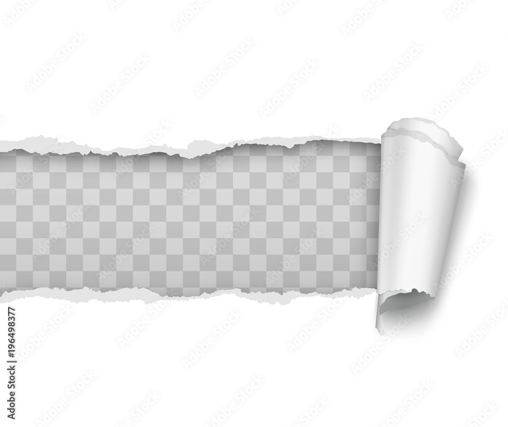 Vector realistic torn and twisted paper strip on white background Stock ...