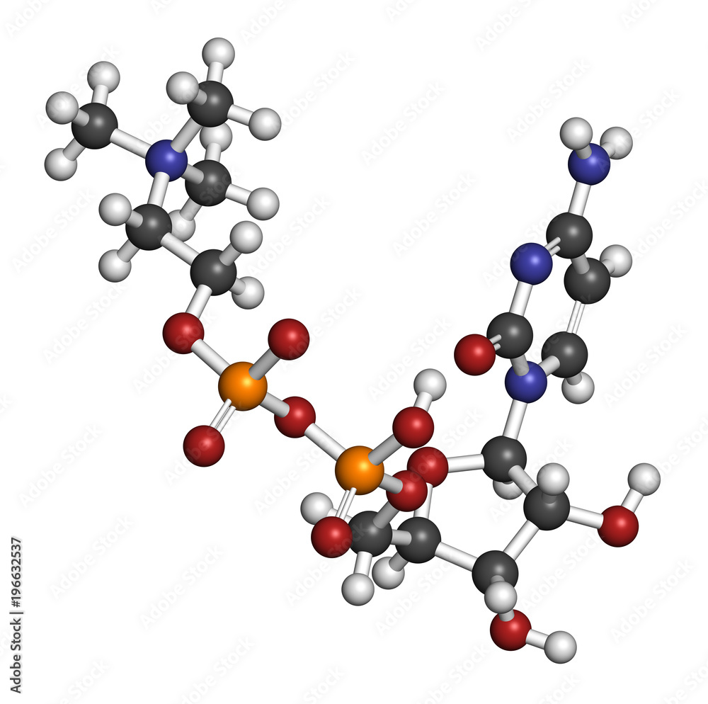 Citicoline (CDP-choline) molecule. 3D rendering. Atoms are represented ...