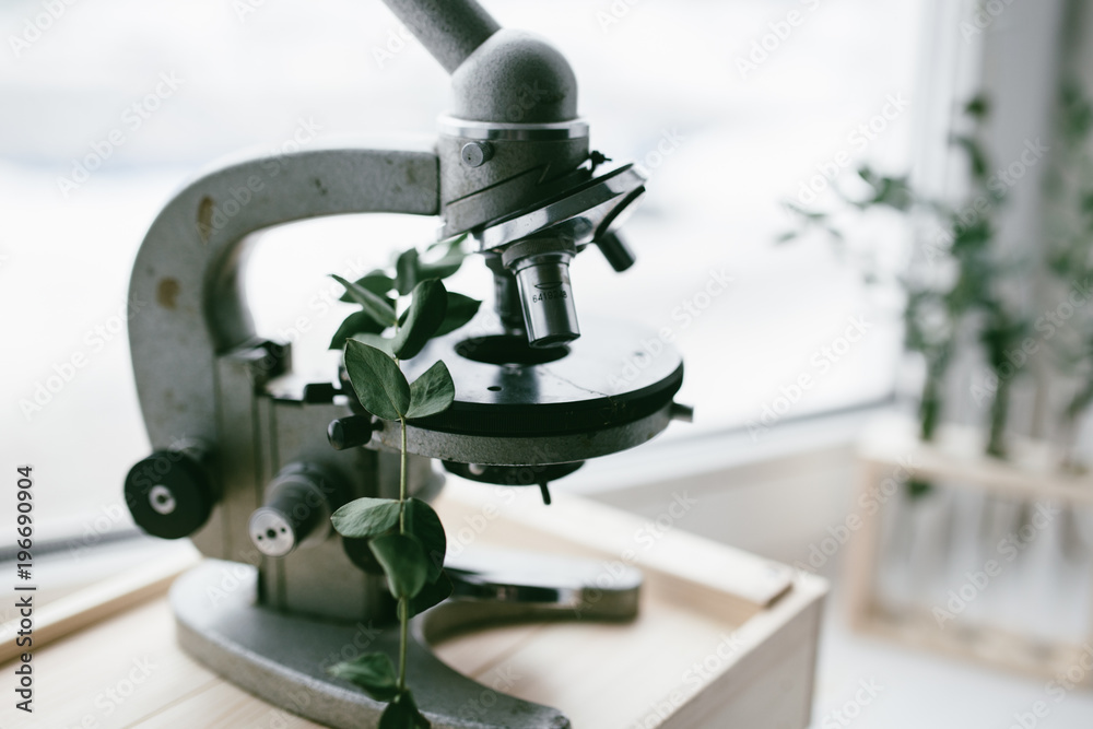 vintage flat or loft decor items: old microscope. concept: botany and ...