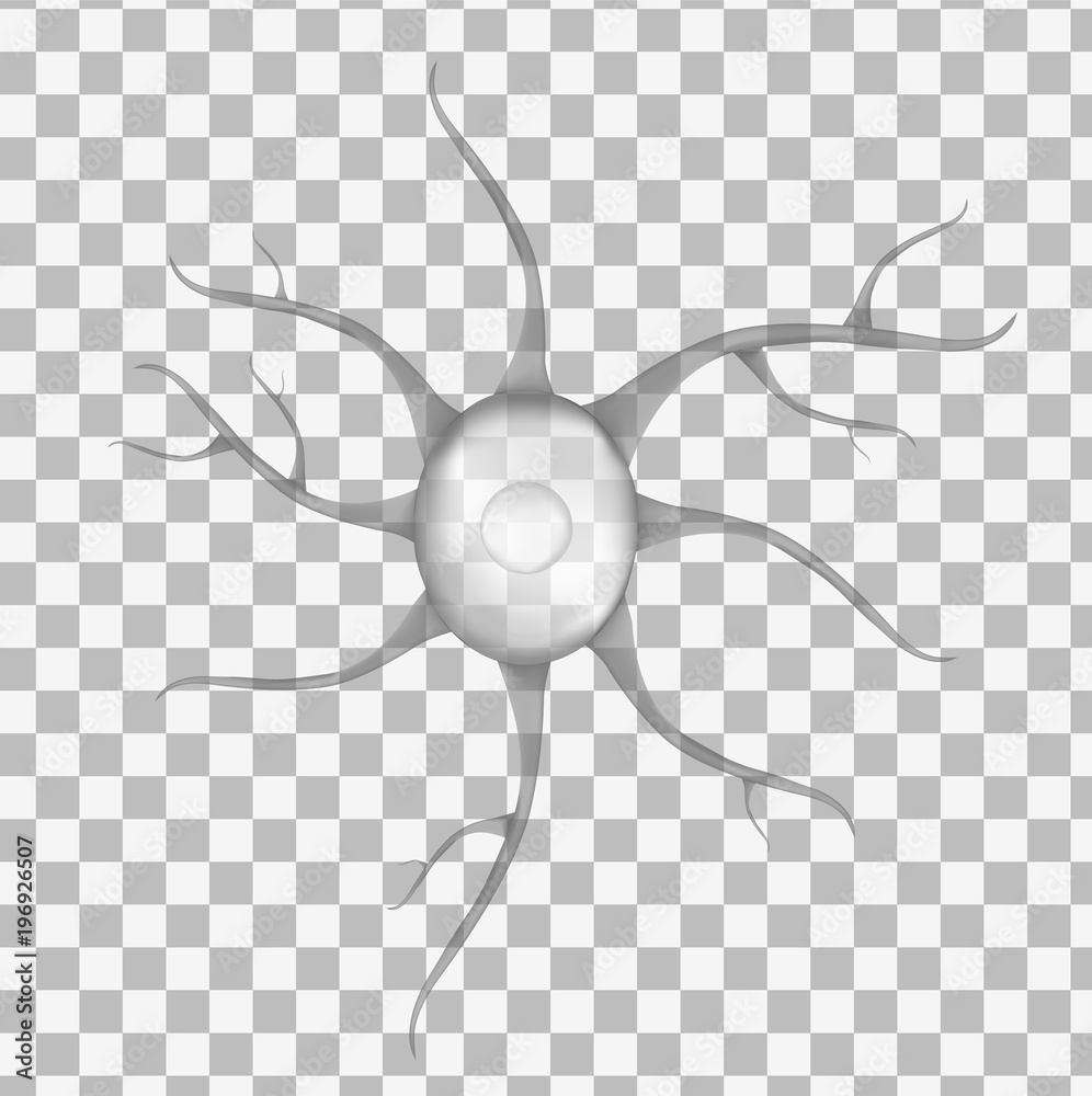 3d gray human neuron isolated on transparent background. Realistic ...