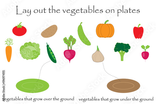Lay out the vegetables in cartoon style on plates under or over ground ...