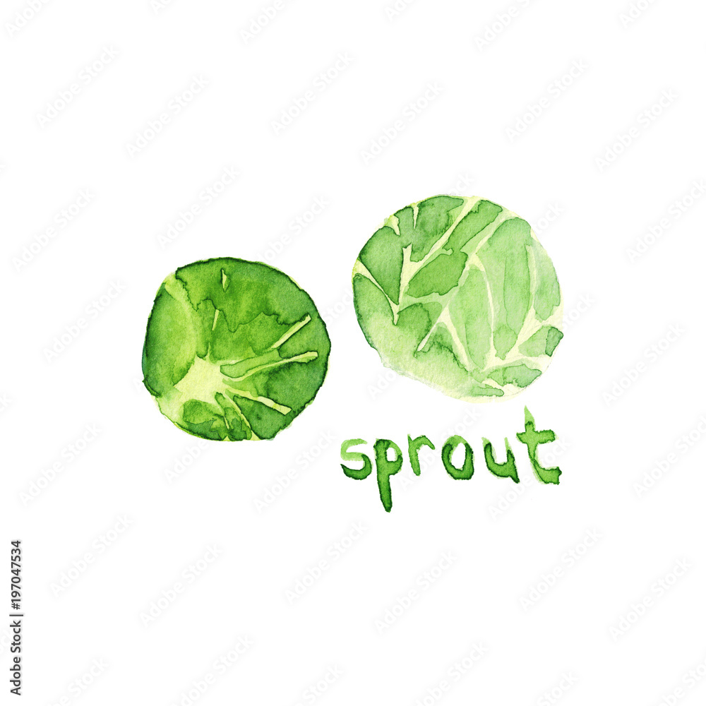 Watercolor hand drawn sketch illustration of sprout with lettering ...