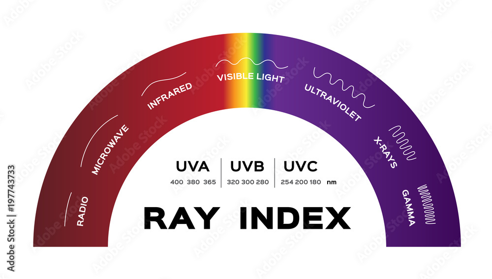 ray index infographic vector . radio microwave infrared visible light ...