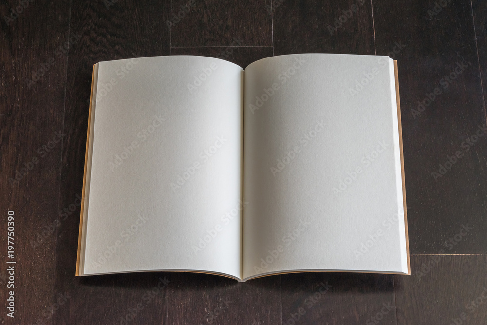 Blank open A4 size book, catalog, magazine, brochure, note mock up ...