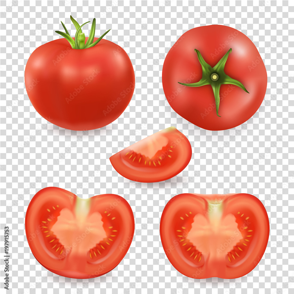 Vector 3d realistic different tomato icon set closeup isolated on ...