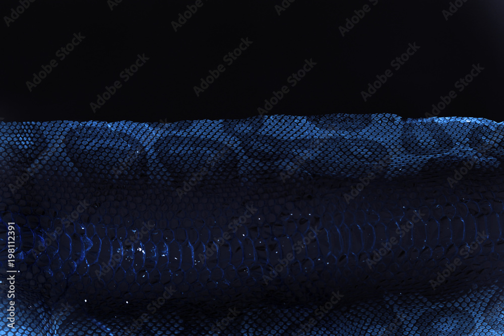 jacket cast-off skin of snake Royal Python on a white background ...