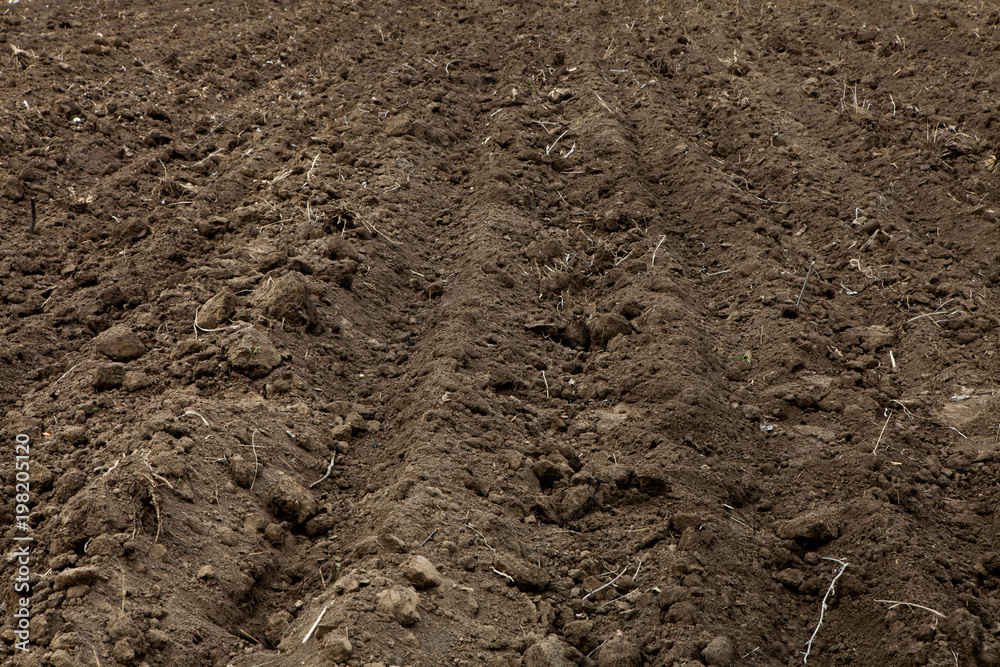 soil texture.Ground Texture. Top View of a Dark Ground Surface Stock ...