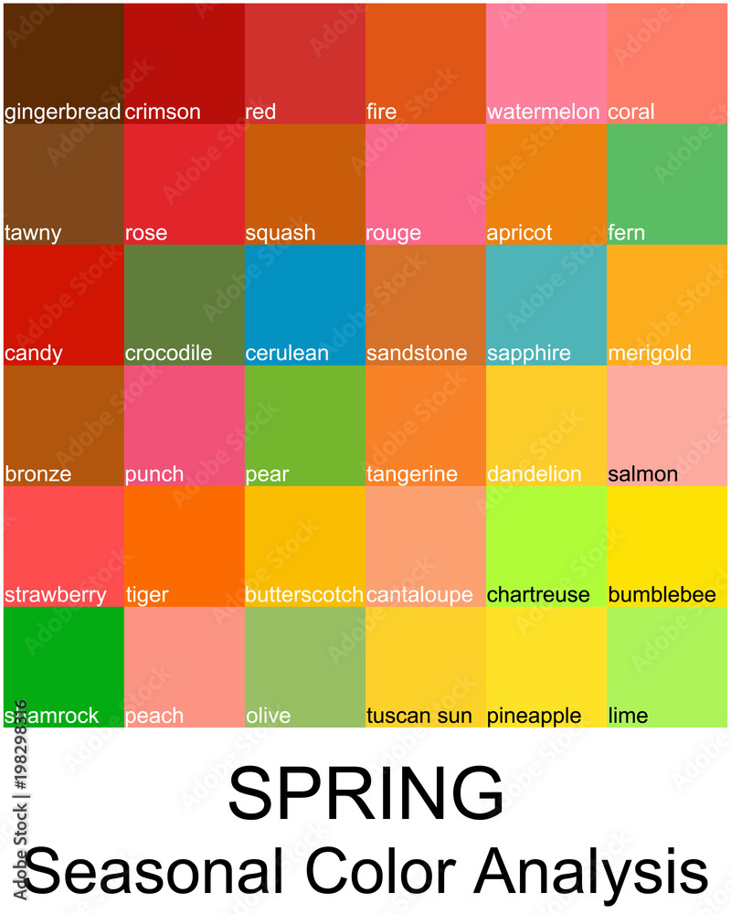 Stock vector color guide with color names. Seasonal color analysis ...