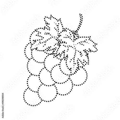 dotted shape delicious grape fruit organic tasty Stock Vector | Adobe Stock dotted shape delicious grape fruit organic tasty Stock Vector | Adobe Stock