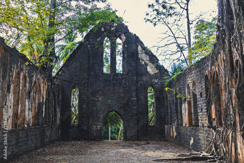 Ruins of abandoned Old British building covered with roots at Ross ...