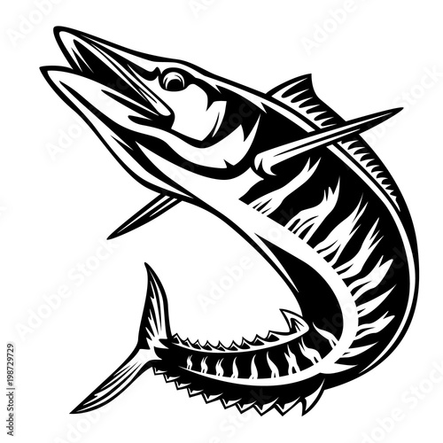 Illustration of a wahoo , Acanthocybium solandri, a scombrid fish ...