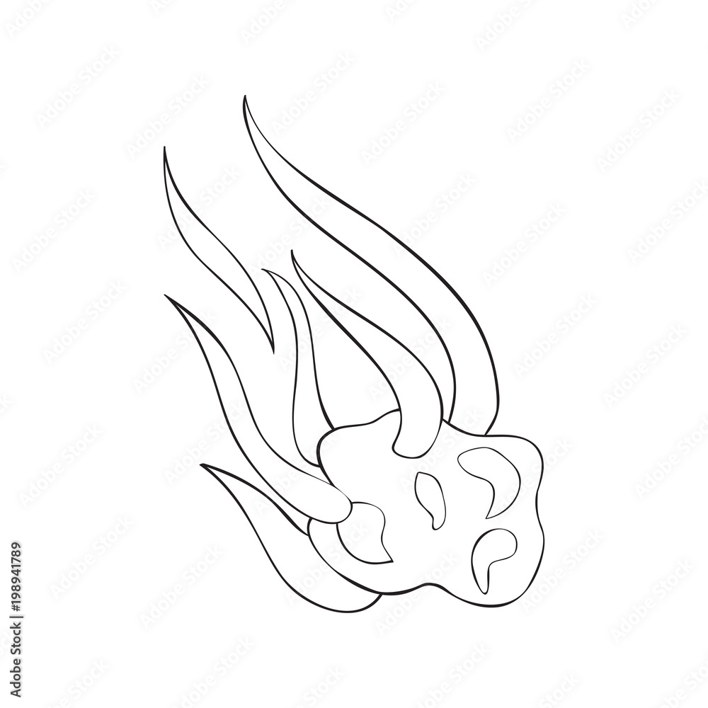 Vector sketch illustration of an object of nature. Outline hand drawing ...