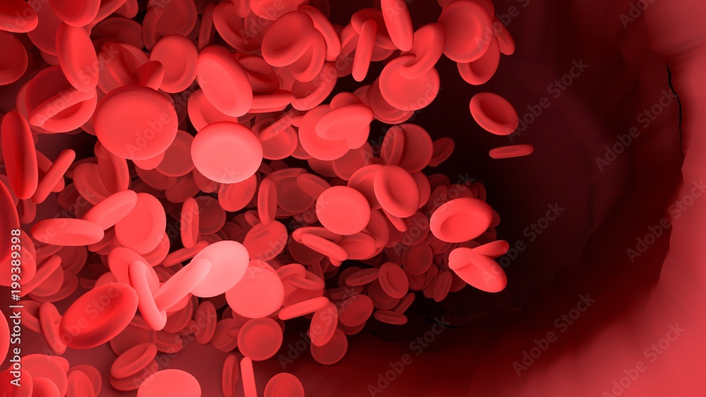 Red blood cell in blood vessel of body. Science graphic for education ...