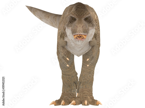 Tyrannosaurus Rex or T-rex from different point of view like top front ...