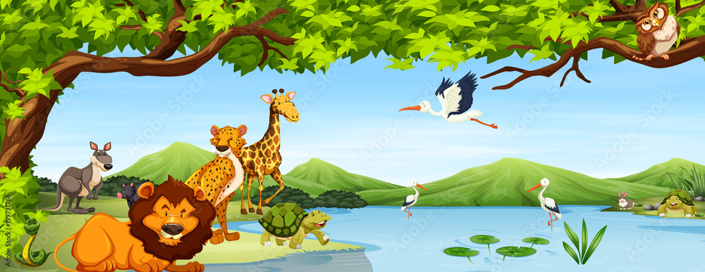 Various wild Animals Scene Stock Vector | Adobe Stock