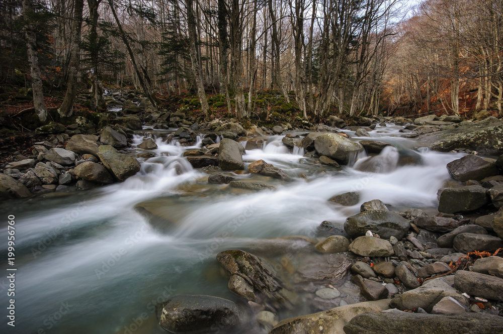 Torrent winter, the flow of water brings peace and serenity. Stock ...