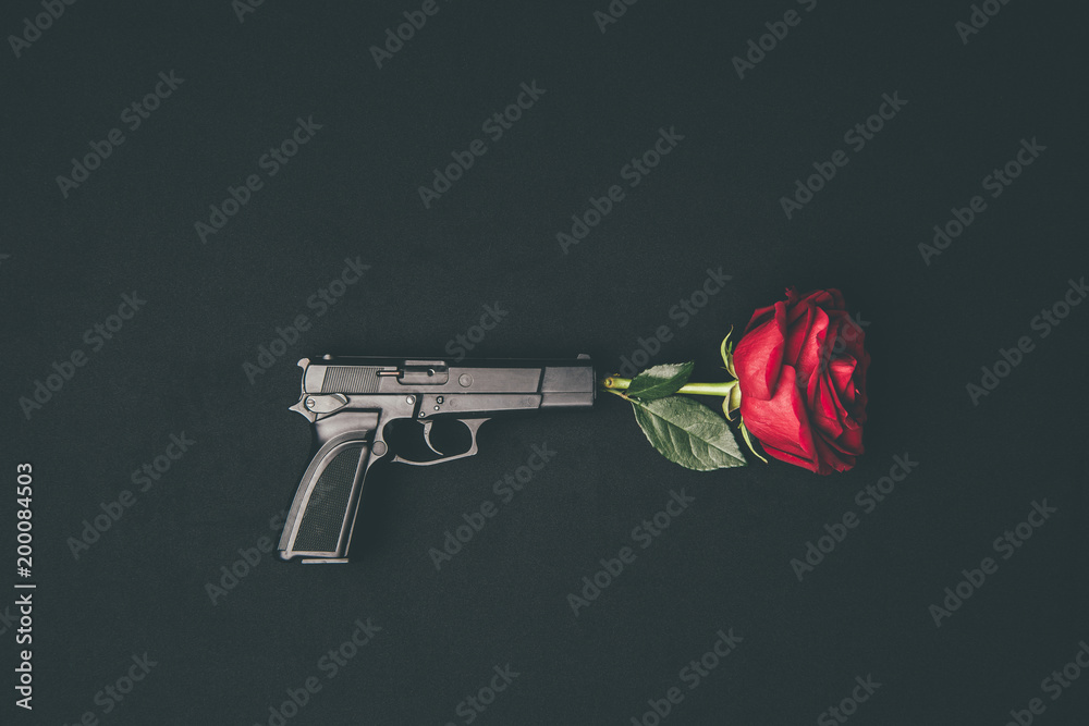 Red rose shooting from gun isolated on black Stock Photo | Adobe Stock