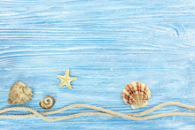 Seashell Collection On Wood Free Stock Photo - Public Domain Pictures