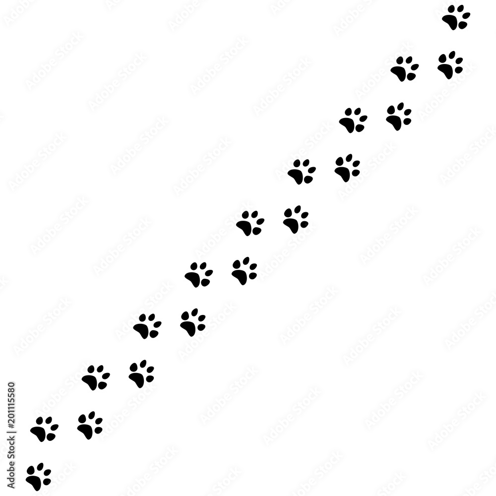 Paw print vector illustration Stock Vector | Adobe Stock