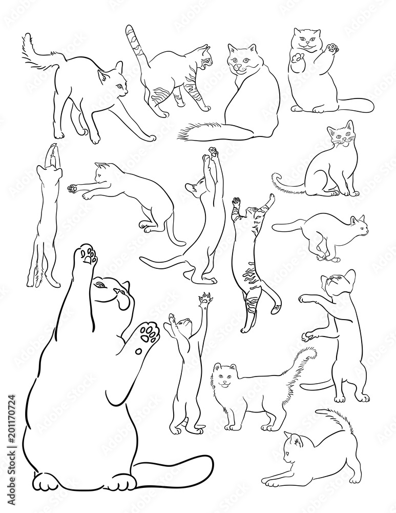 Cat line art. Vector, illustration. Good use for symbol, logo, web icon ...