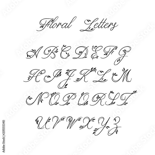 Calligraphy alphabet. Decorative handwritten brush font. Vector letters ...