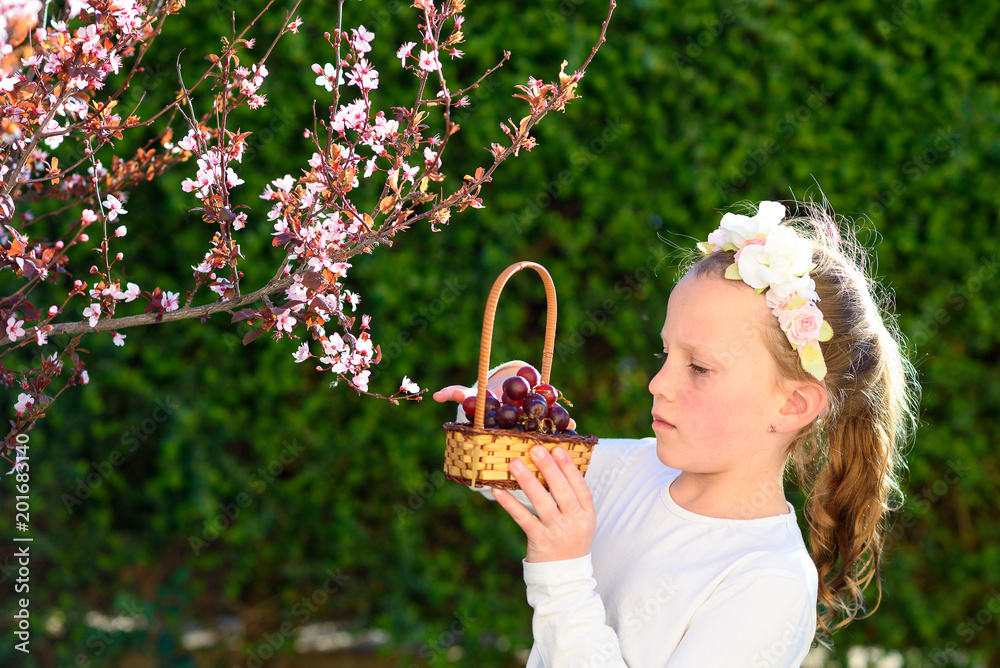 Little girl with basket of the first fruits during the Jewish holiday ...