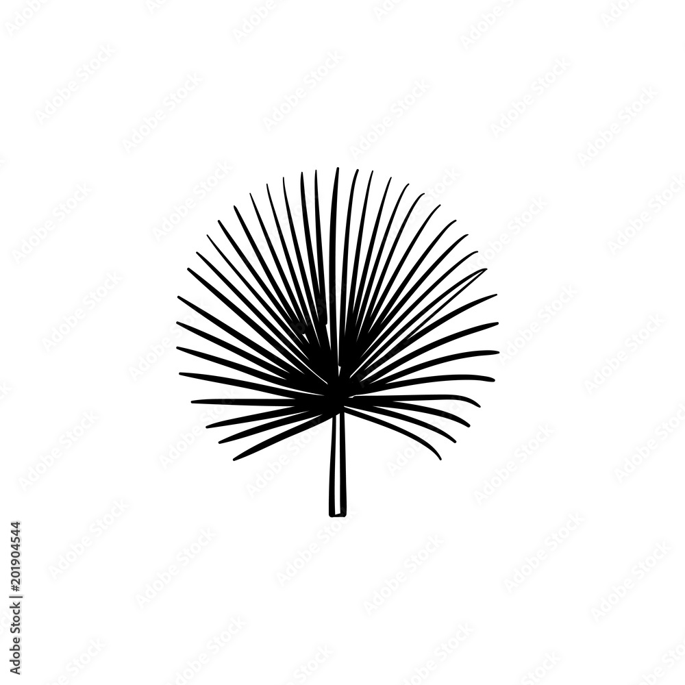 Spiky palm leaves hand drawn vector outline doodle icon. Palm leaves vector sketch illustration ...