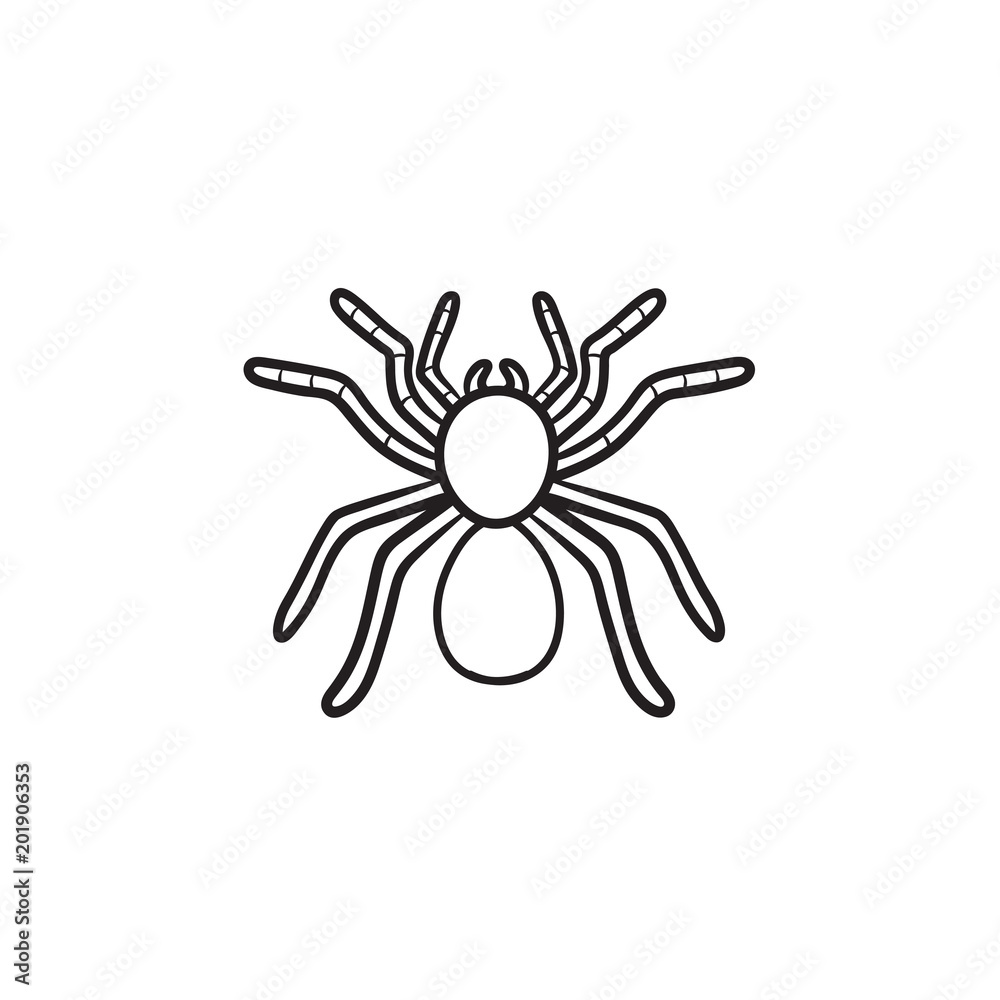 Spider tarantula hand drawn outline doodle icon. Insect spider ...