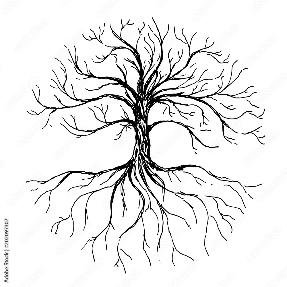Tree of life - vector illustration with tree and roots silhouette. Hand ...
