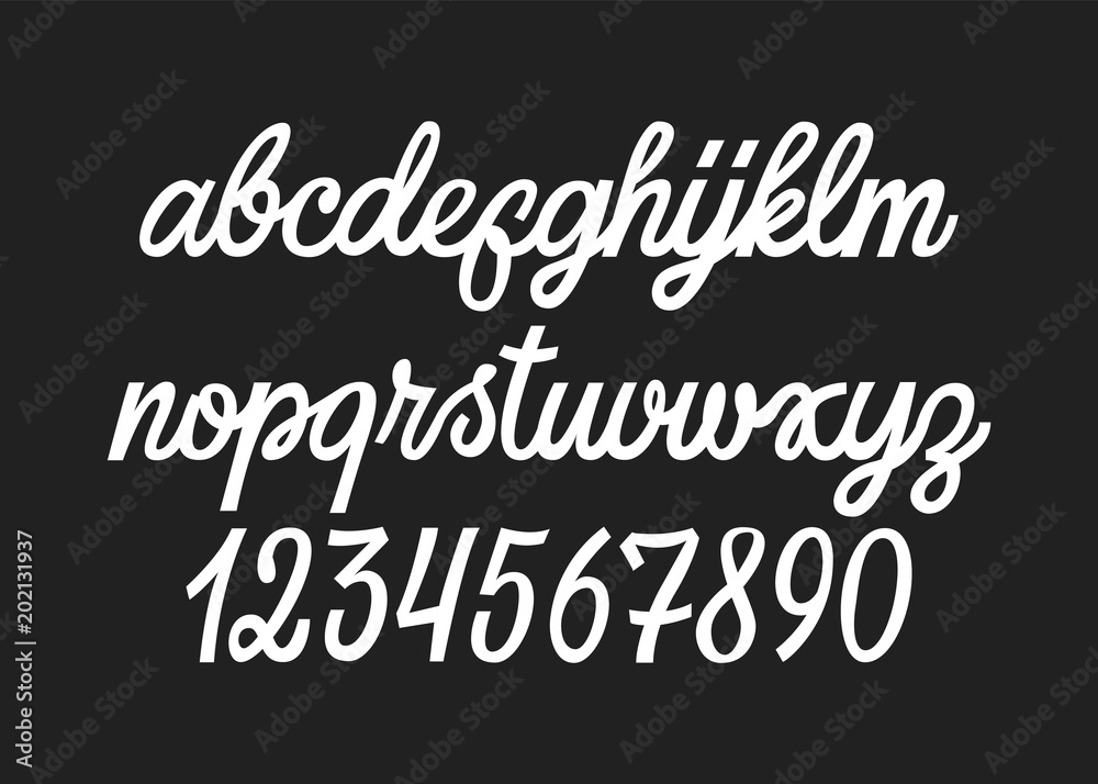 Calligraphic vector script font. Handwritten brush style modern ...