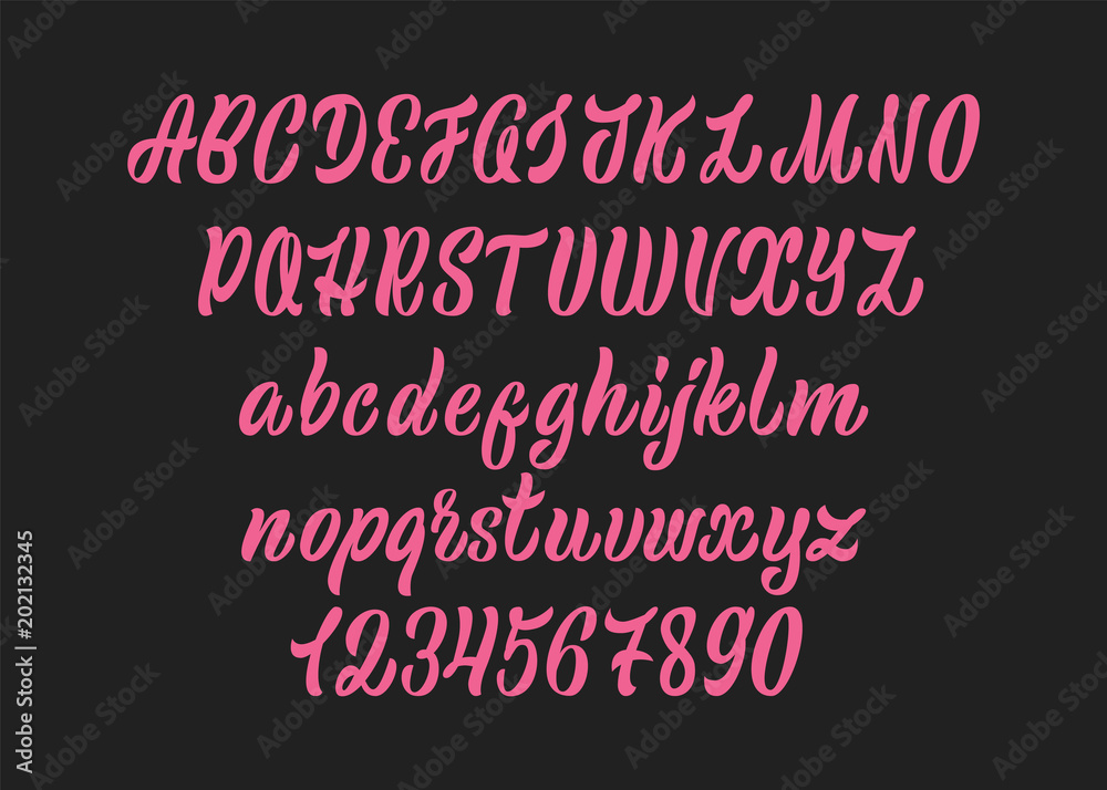 Calligraphic vector script font. Handwritten brush style modern ...