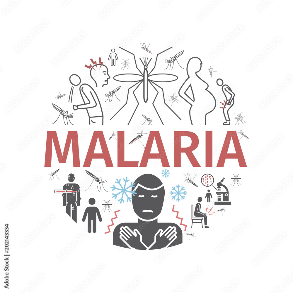 Malaria line icon banner. Infographics. Symptoms, Signs for web ...