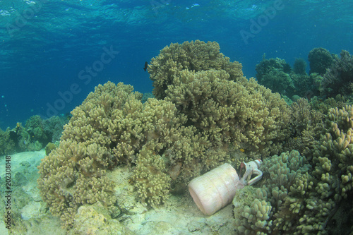 Plastic trash pollution of coral reef underwater Stock Photo | Adobe Stock