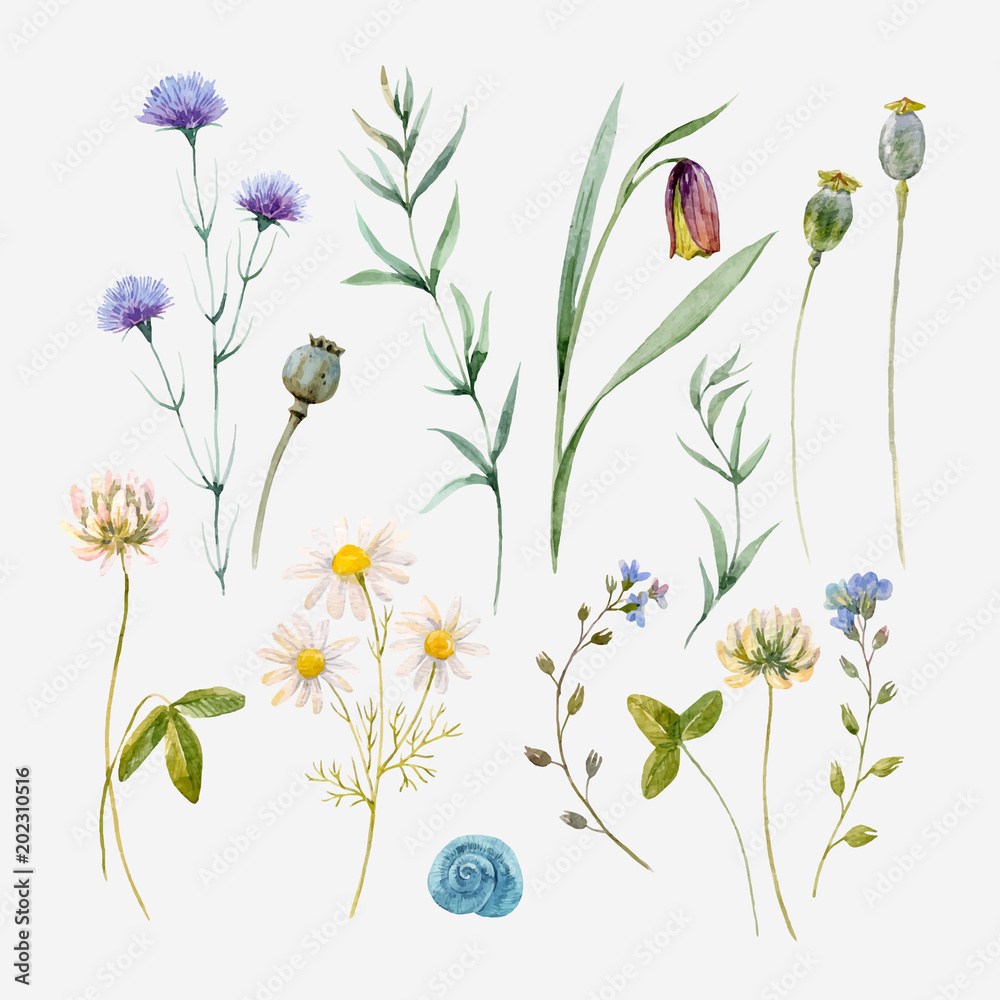 Watercolor floral vector set Stock Vector | Adobe Stock