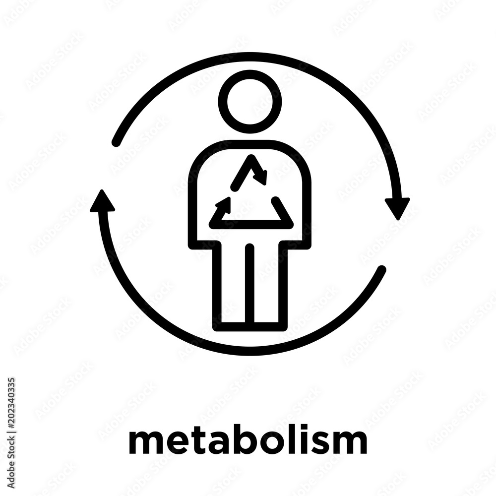 metabolism icon isolated on white background Stock Vector | Adobe Stock