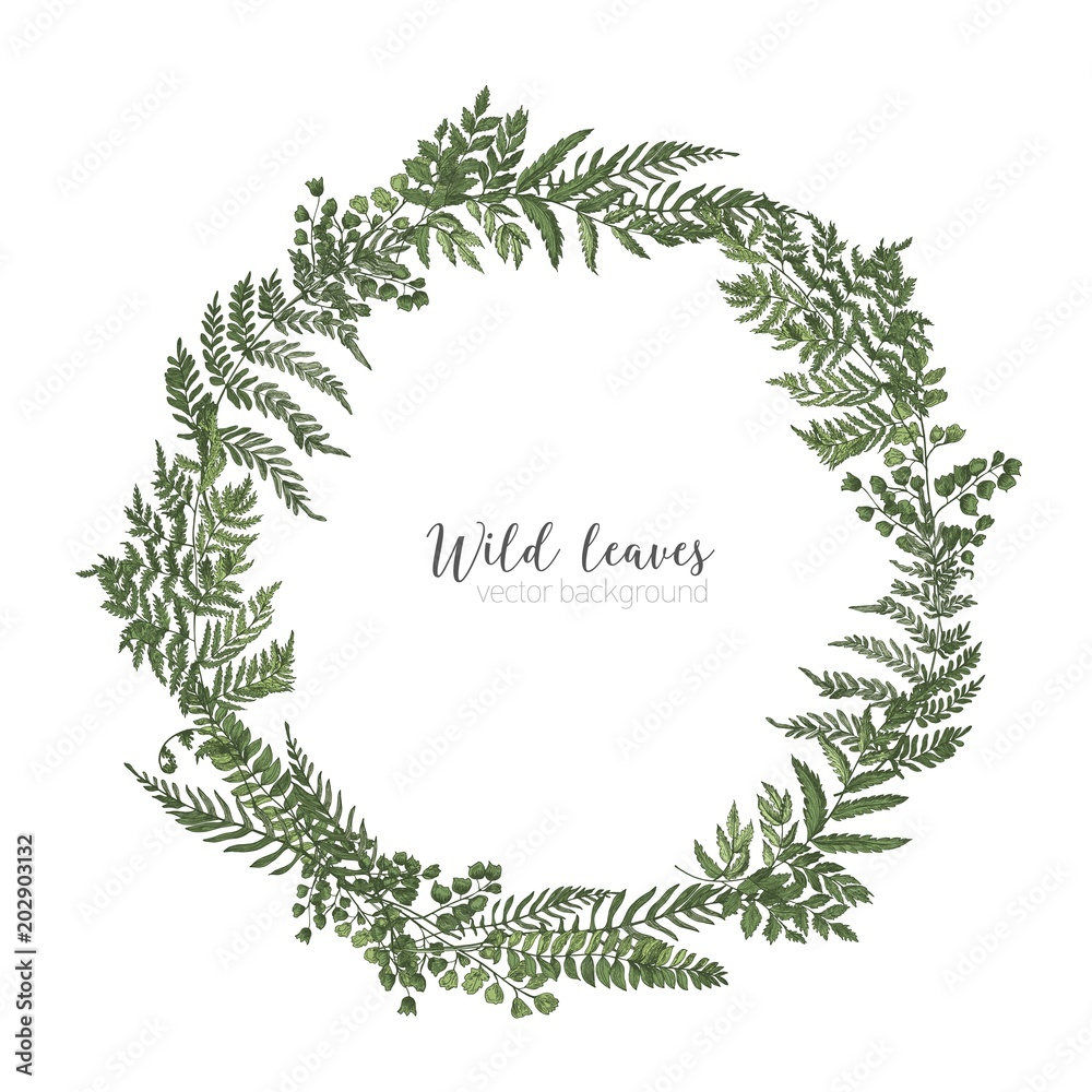 herb border clipart