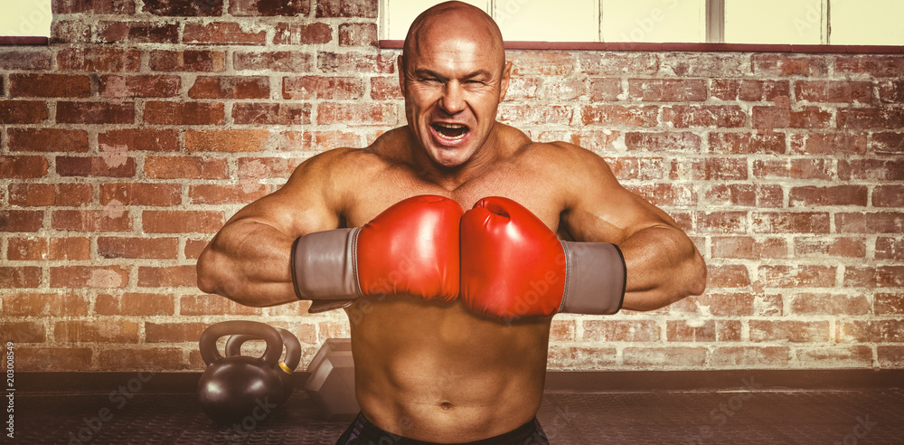 Angry bald boxer with punching gloves against gym Stock Photo | Adobe Stock