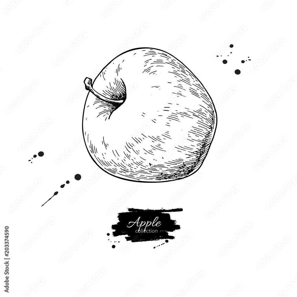 Apple vector drawing. Hand drawn isolated fruit. Summer food Stock ...