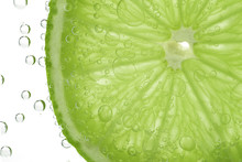 Fizzy Lime Slice 無料画像 - Public Domain Pictures