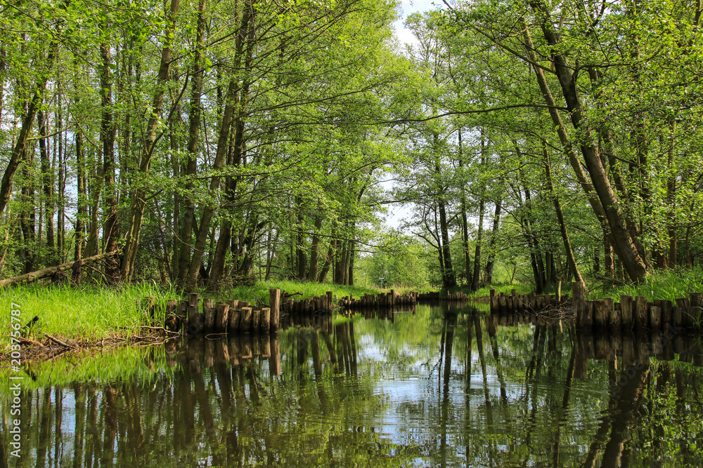 Spreewald, Panorama Landschaft, Wasserlandschaft Stock Photo | Adobe Stock