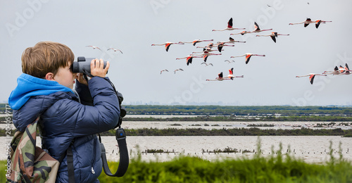 Young kid bird watching Stock Photo | Adobe Stock