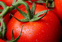 Tomato In The Rain Free Stock Photo - Public Domain Pictures