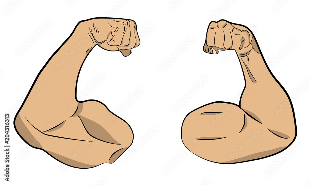 inflated muscle hands vector drawing illustration Stock Vector | Adobe ...
