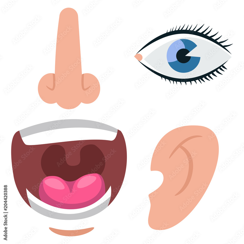 Human ear, nose, eyes and mouth vector flat icons isolated on white ...