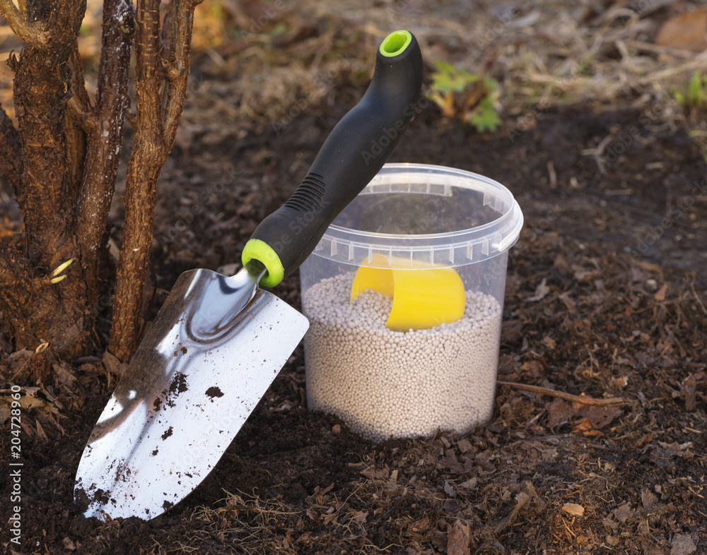 A complex, mineral, granulated fertilizer in a plastic bucket and a ...