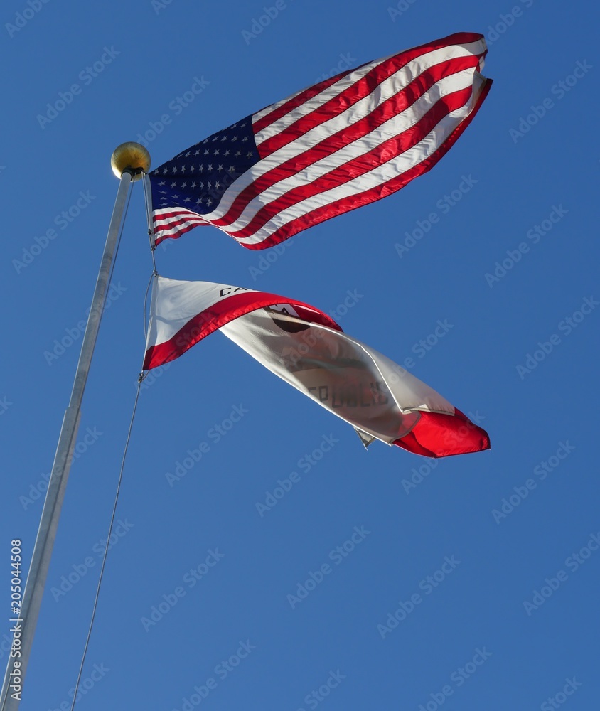 Flag of the United States of America flying up with the California ...