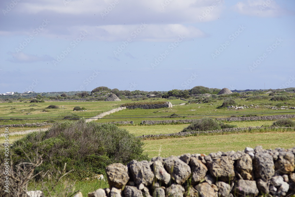 Pairies fleuries et murets en pierre à Minorque, île paradisiaque des ...
