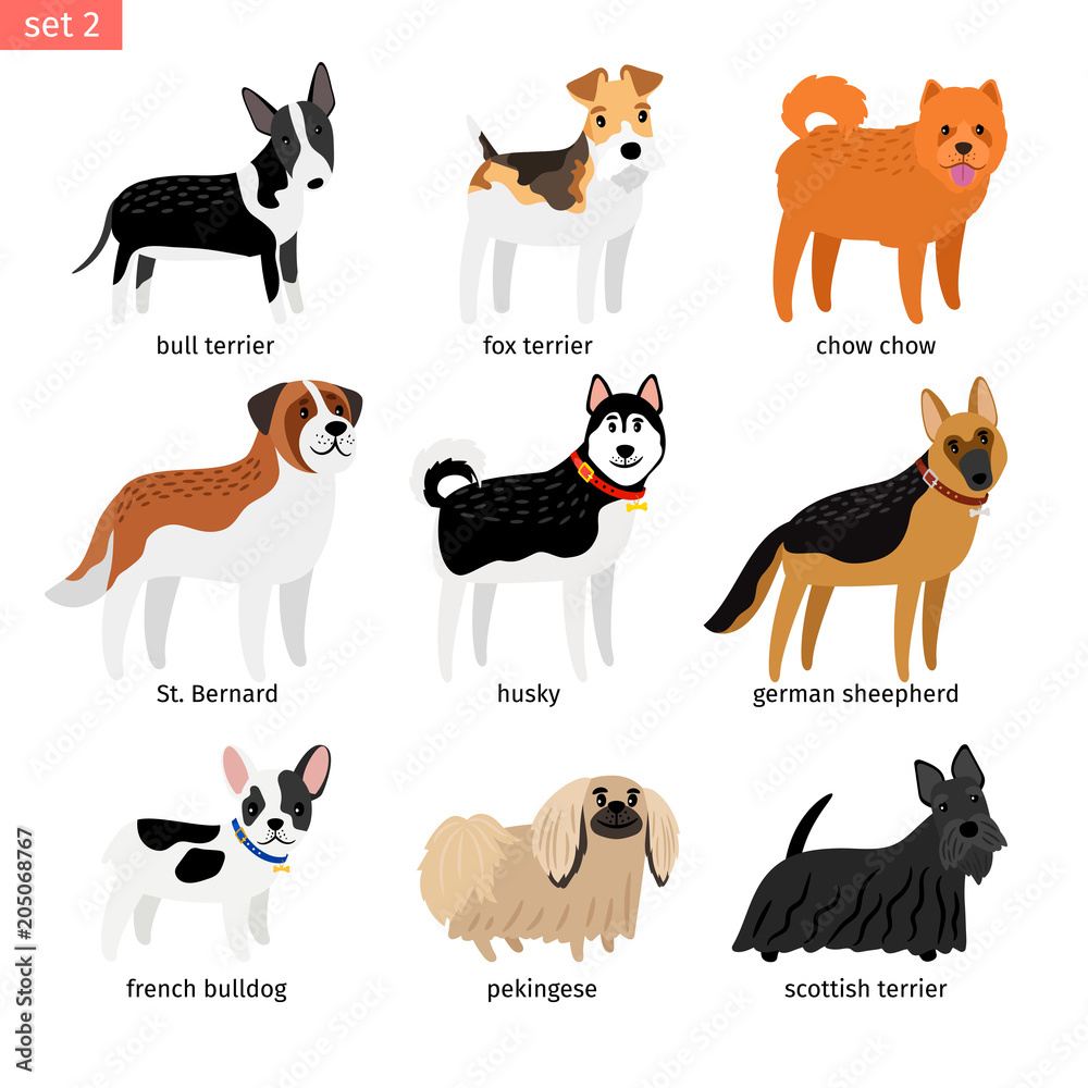 Cartoon dogs icons set Stock Vector | Adobe Stock