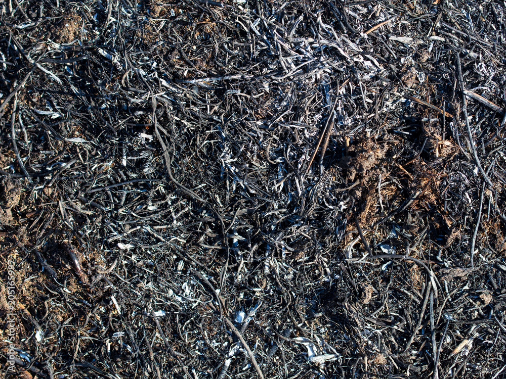 Black burned grass on the ground as an abstract background Stock Photo ...