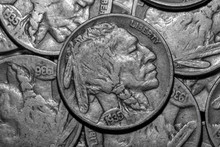 American Buffalo Coin Free Stock Photo - Public Domain Pictures